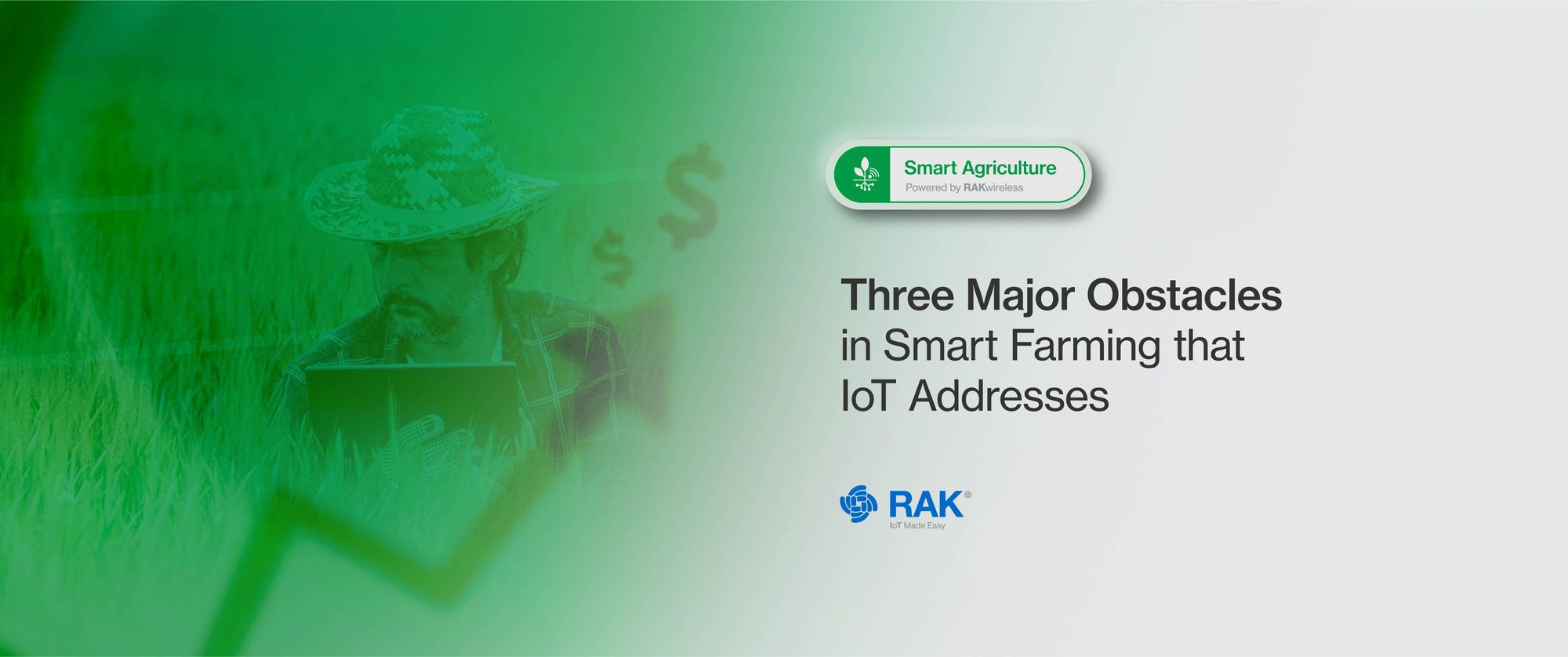 3 Major Obstacles in Smart Farming that IoT Addresses